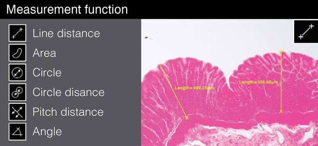 NIS-Elements L | NIS-Elements | Software | Microscope Products | Nikon Europe B.V.